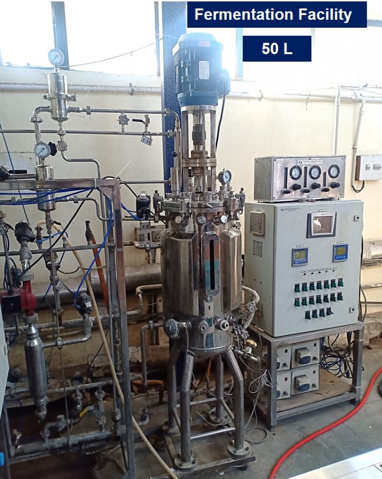 Fermentation and Microbial Biotechnology – CSIR-Indian Institute of ...