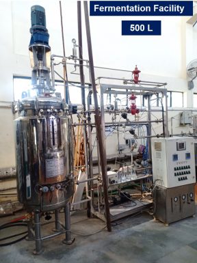 Fermentation and Microbial Biotechnology – CSIR-Indian Institute of ...