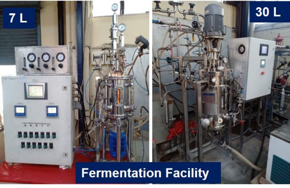 Fermentation and Microbial Biotechnology – CSIR-Indian Institute of ...