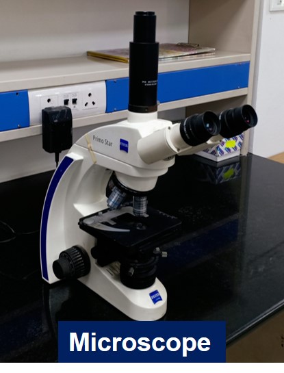 Fermentation and Microbial Biotechnology – CSIR-Indian Institute of ...