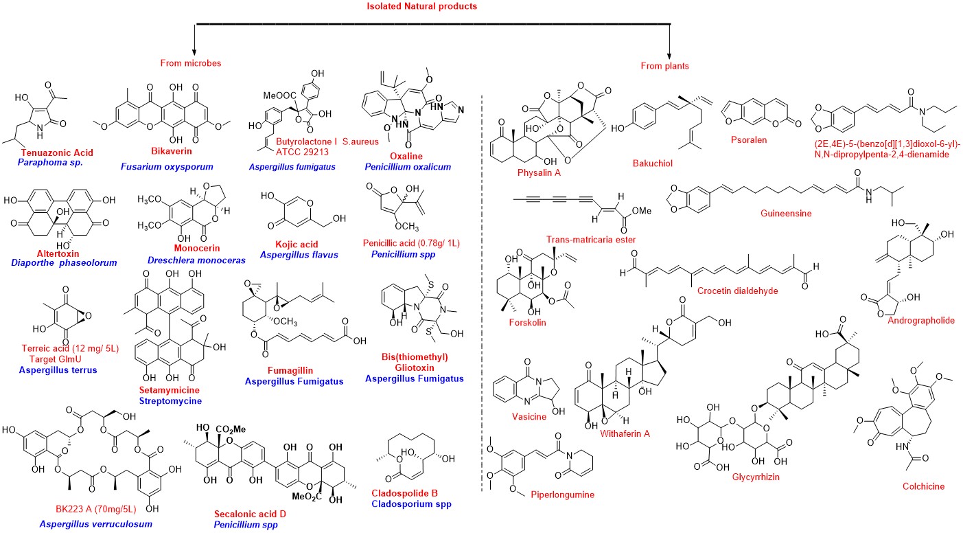 Natural Products Chemistry (Plants) - CSIR-Indian Institute of ...