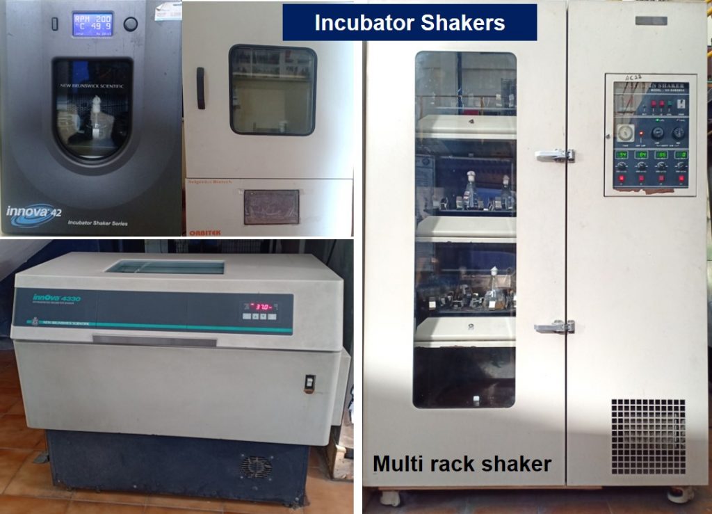 Fermentation and Microbial Biotechnology – CSIR-Indian Institute of ...