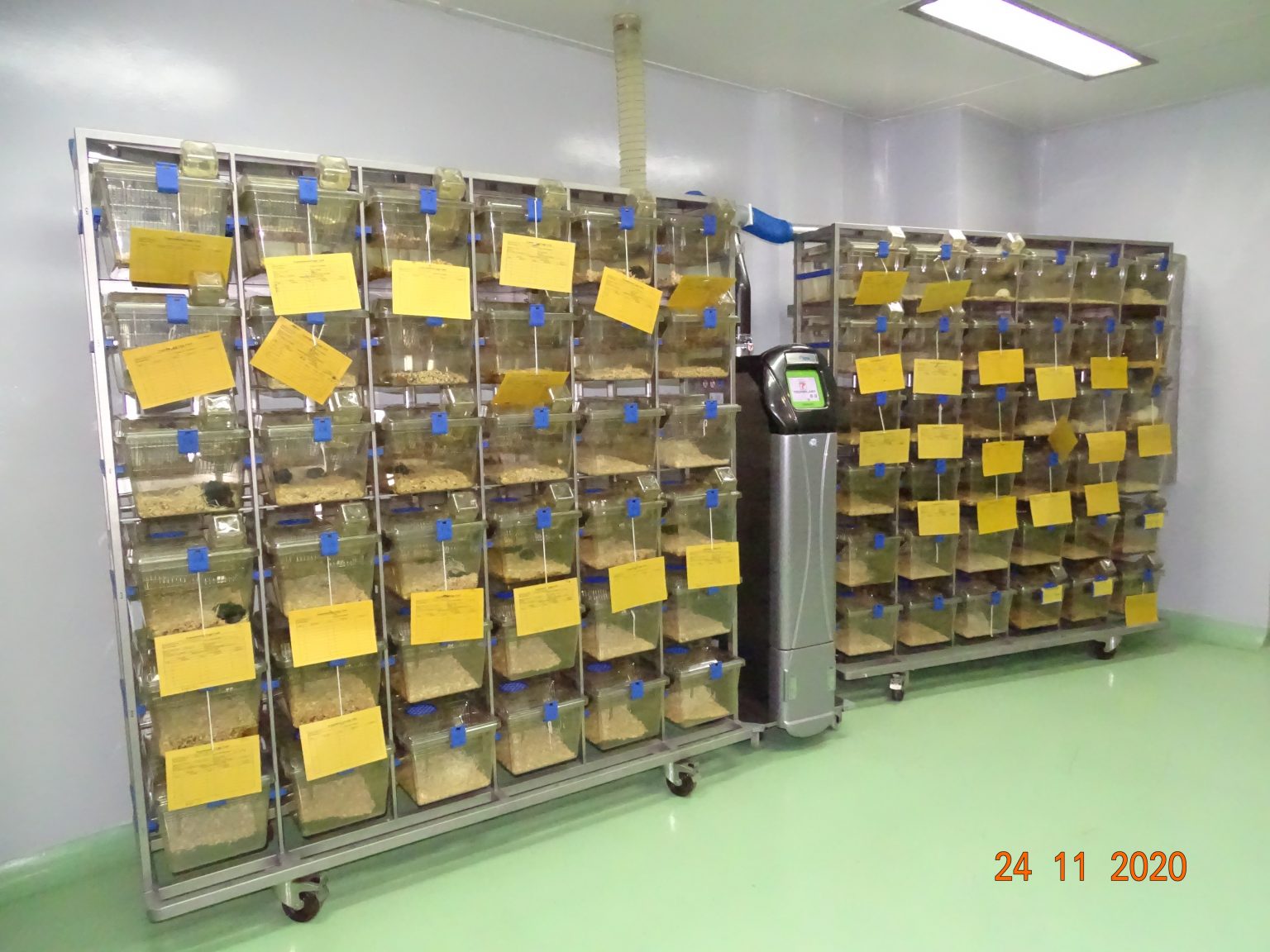 Animal House - CSIR-Indian Institute of Integrative Medicine