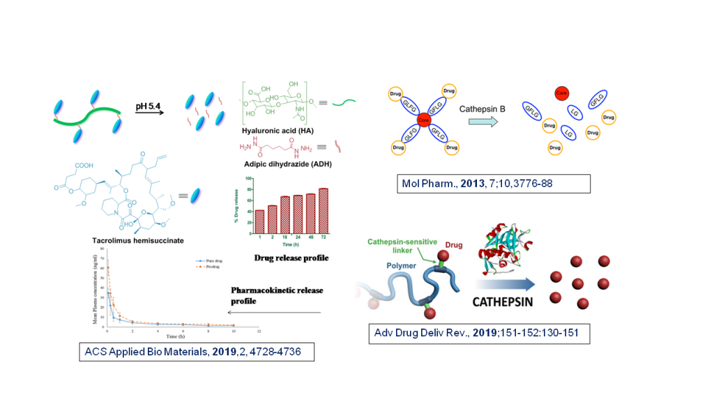 Bio-Organic Chemistry Division – CSIR-Indian Institute of Integrative ...