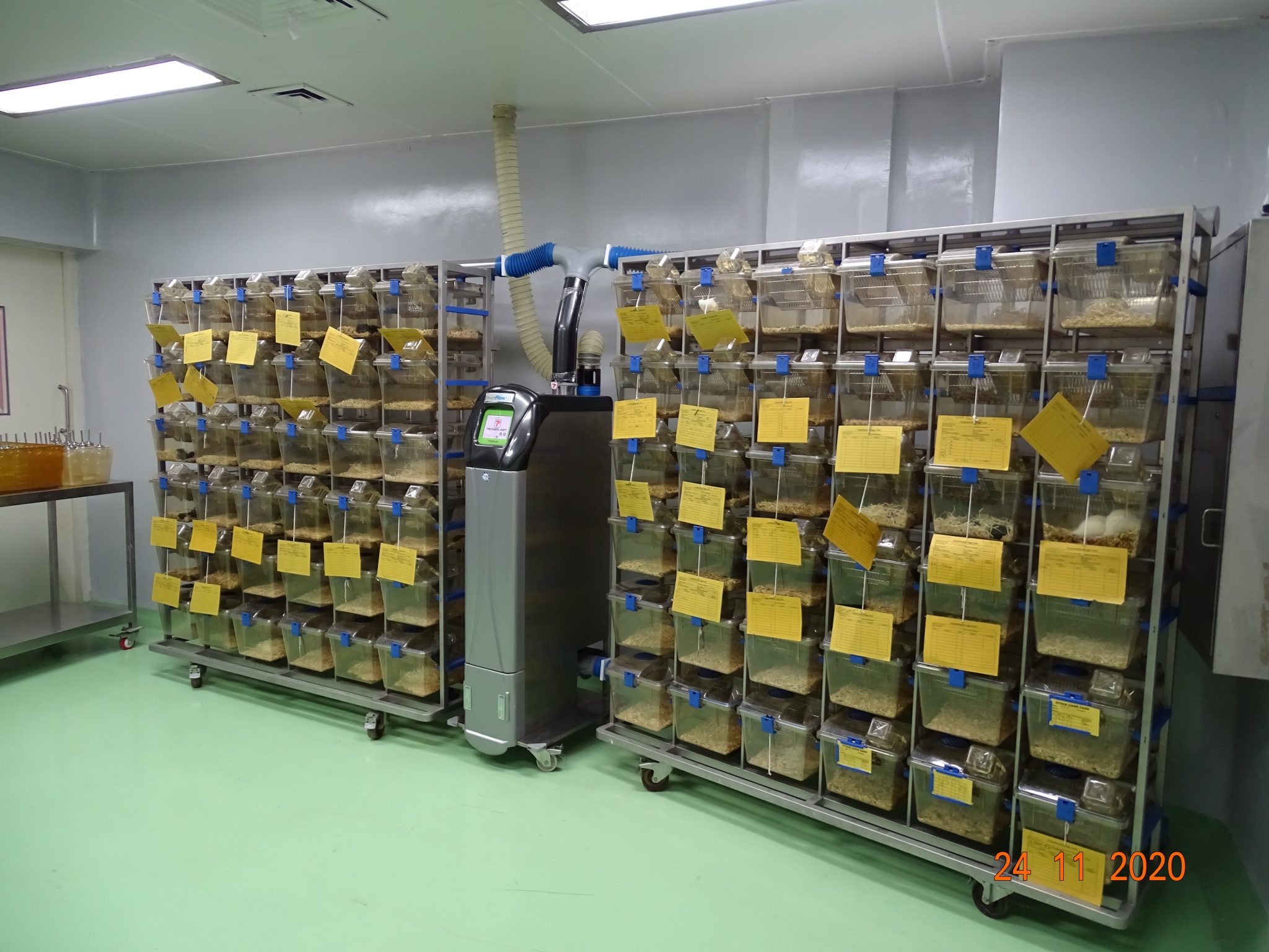 Animal House – CSIR-Indian Institute of Integrative Medicine